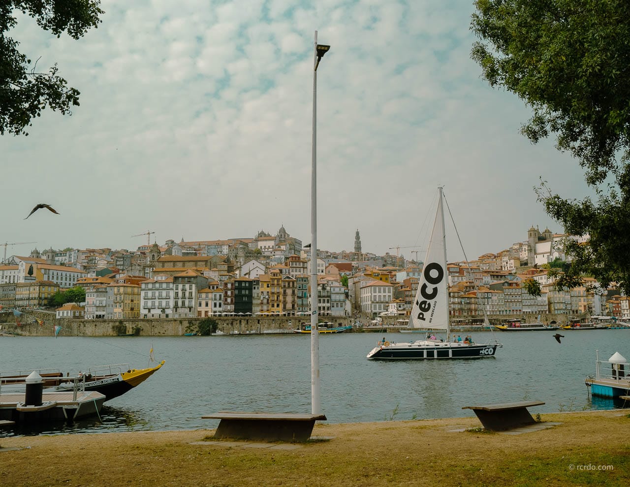 Writing, Coding, and Trying to Avoid the Vibe-Coding Trap